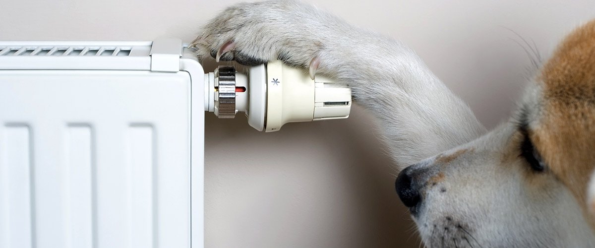 Is your boiler ready for winter? - FixLink Heating, Plumbing and Electrical